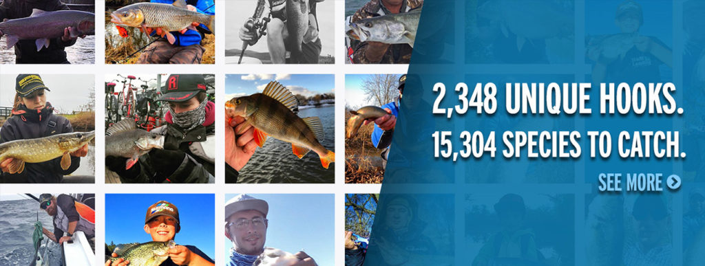 Gamakatsu USA - Freshwater & Saltwater Fishing Hooks
